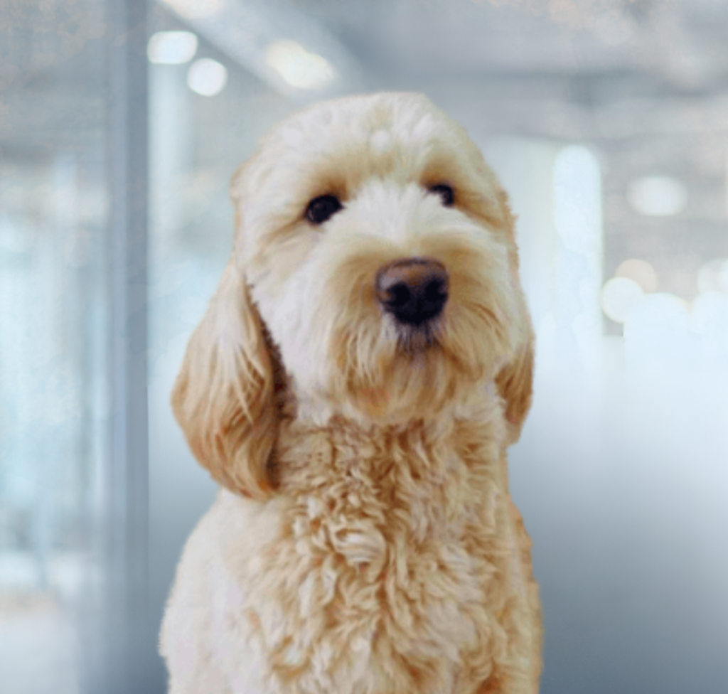 Our Team - Experts in Electrical Integration | DEI Systems